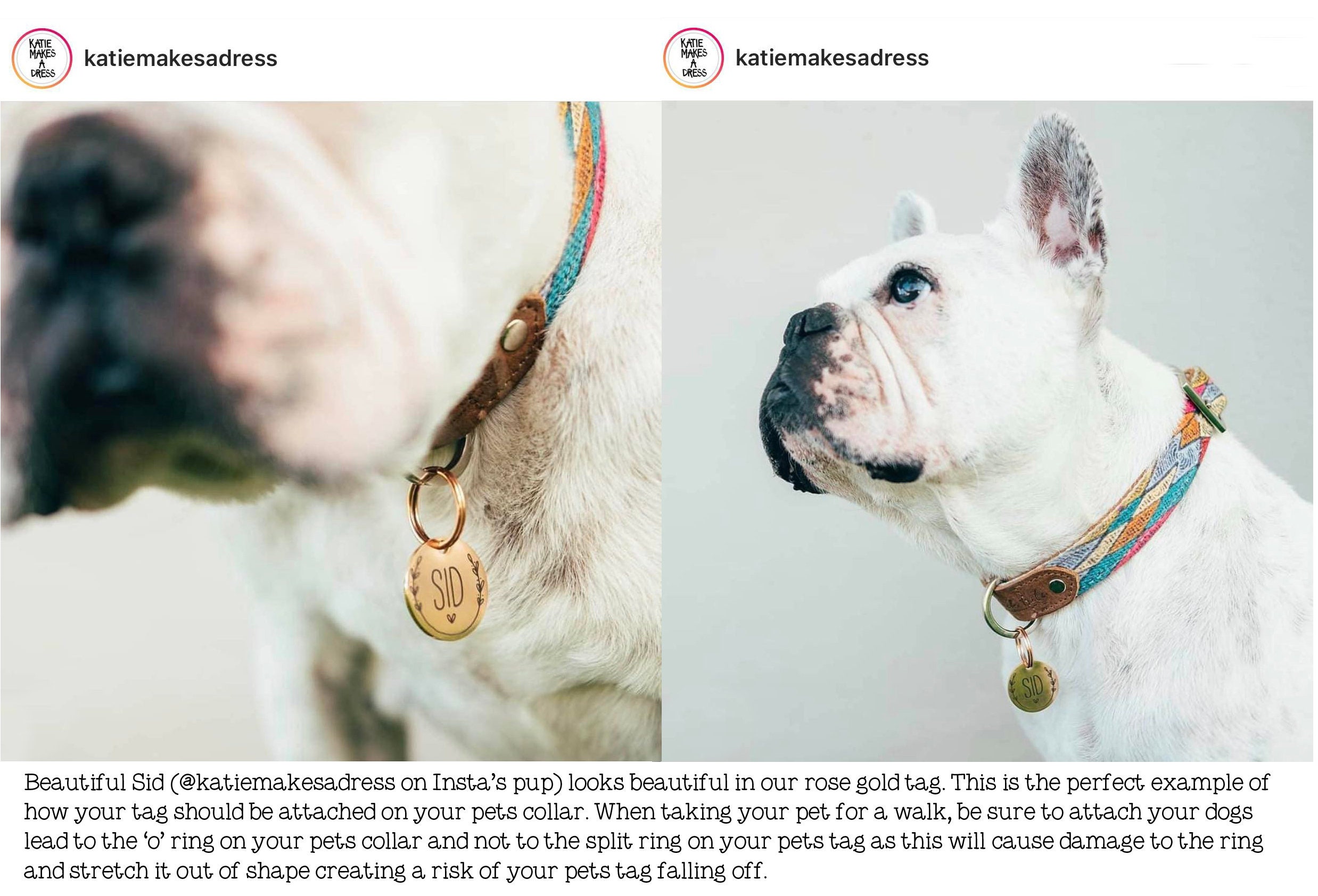 Personalised Dog Tag Design Your Own Tag Dog ID Tag Custom - Etsy