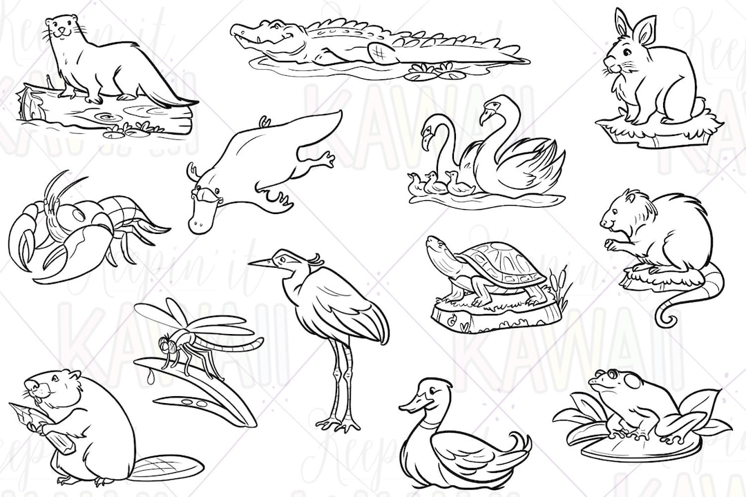Wetland Animals Digital Stamps, Kawaii Wetland Animals, Animal Clip Art ...