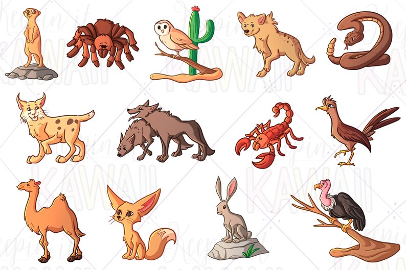 Desert Animals Clip Art, Kawaii Desert Animals, Animal Clip Art Bundle ...