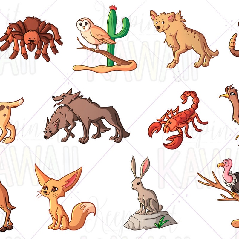 Desert Animals Clip Art - Etsy