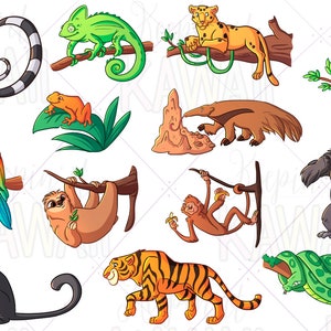 Rainforest Animals Clip Art, Kawaii Rainforest Animals, Animal Clip Art ...