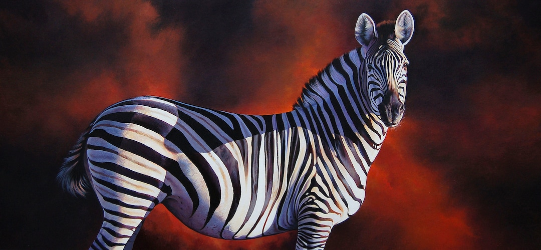 Zebra Storm Canvas Print Limited Edition African Wildlife - Etsy