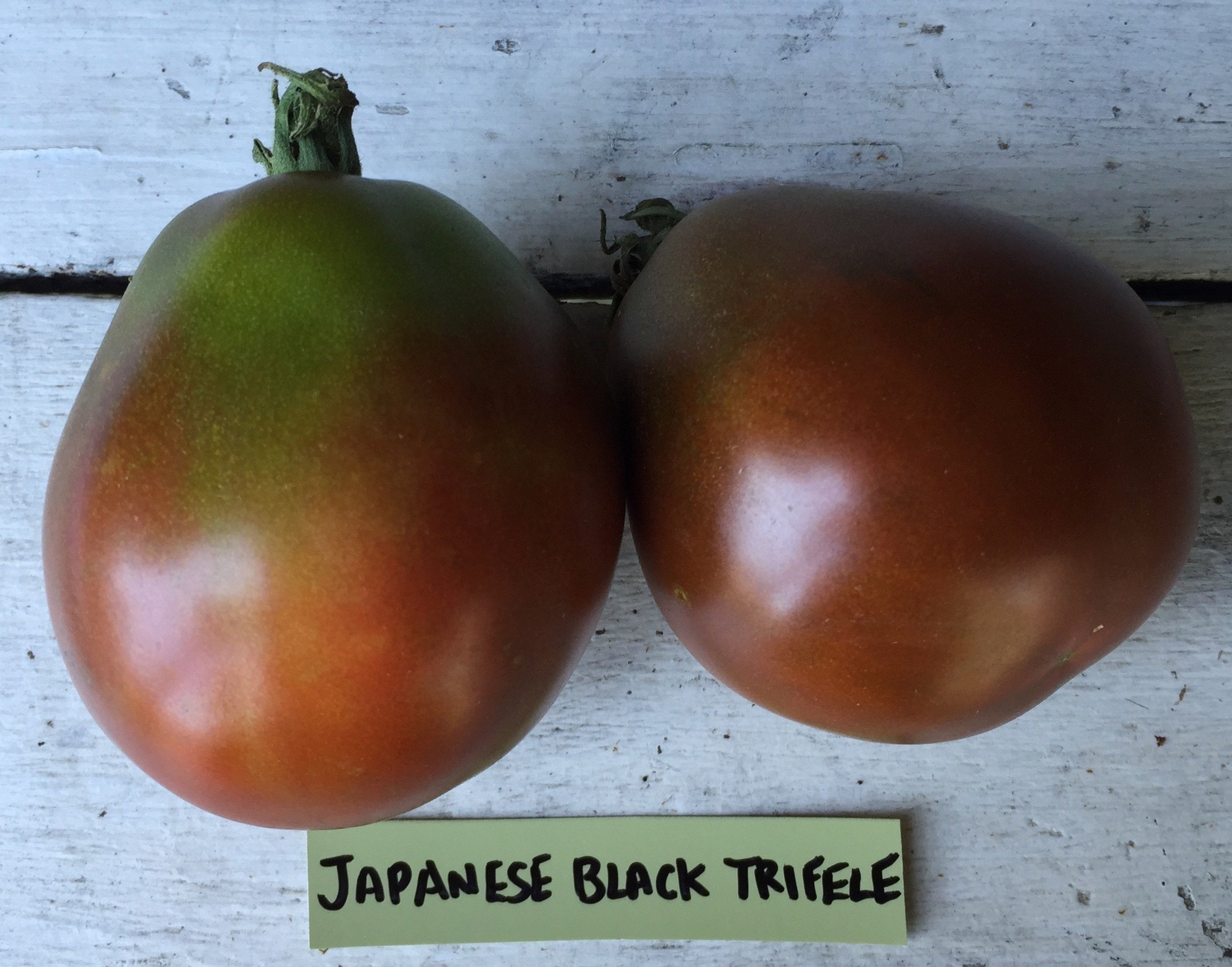 20 BLACK TRUFFLE Tomato Seeds Organic Heirloom One of the - Etsy 日本
