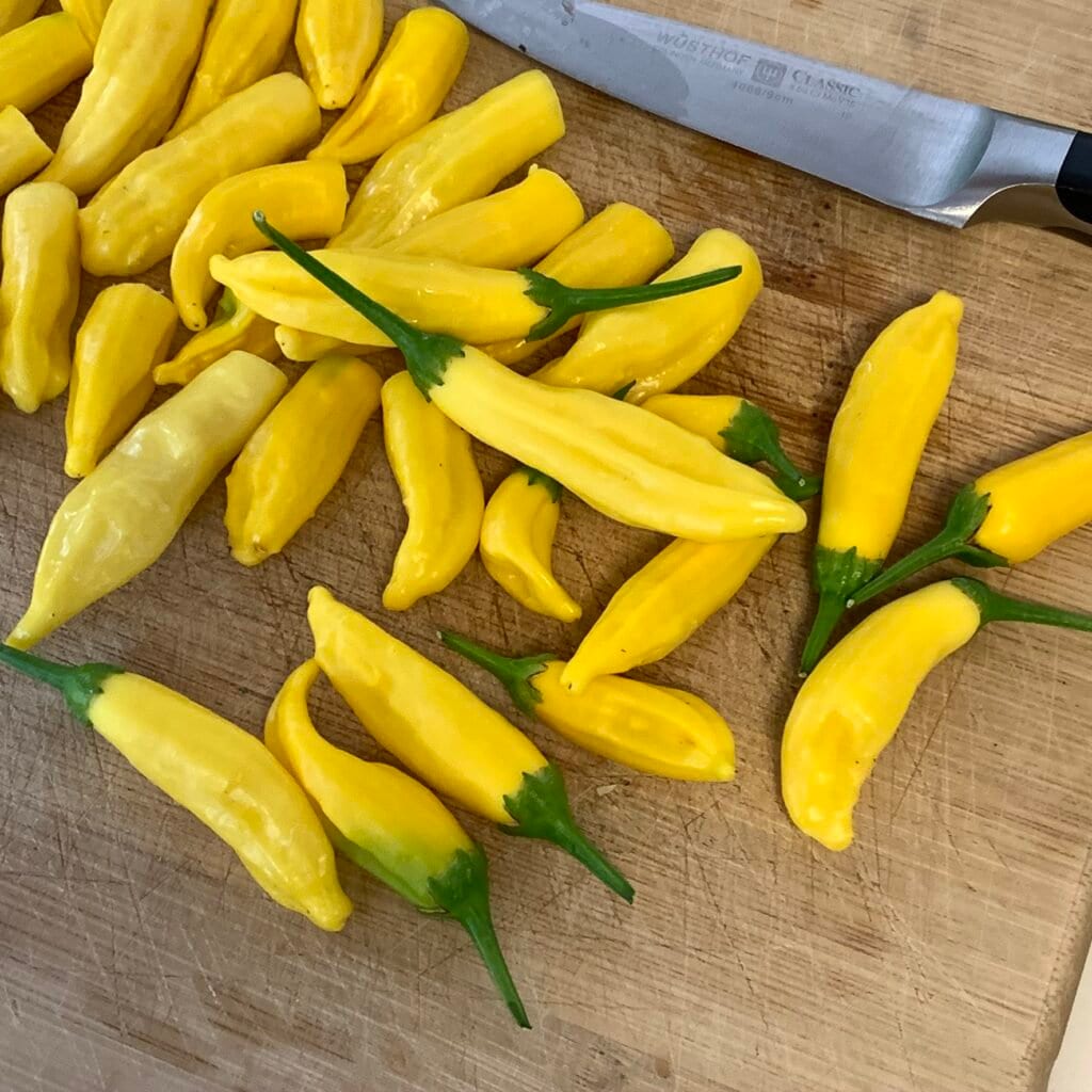 50 Bio LEMON DROP Chili Samen Hot LEMON Drop Hot Chilli Samen - Etsy.de
