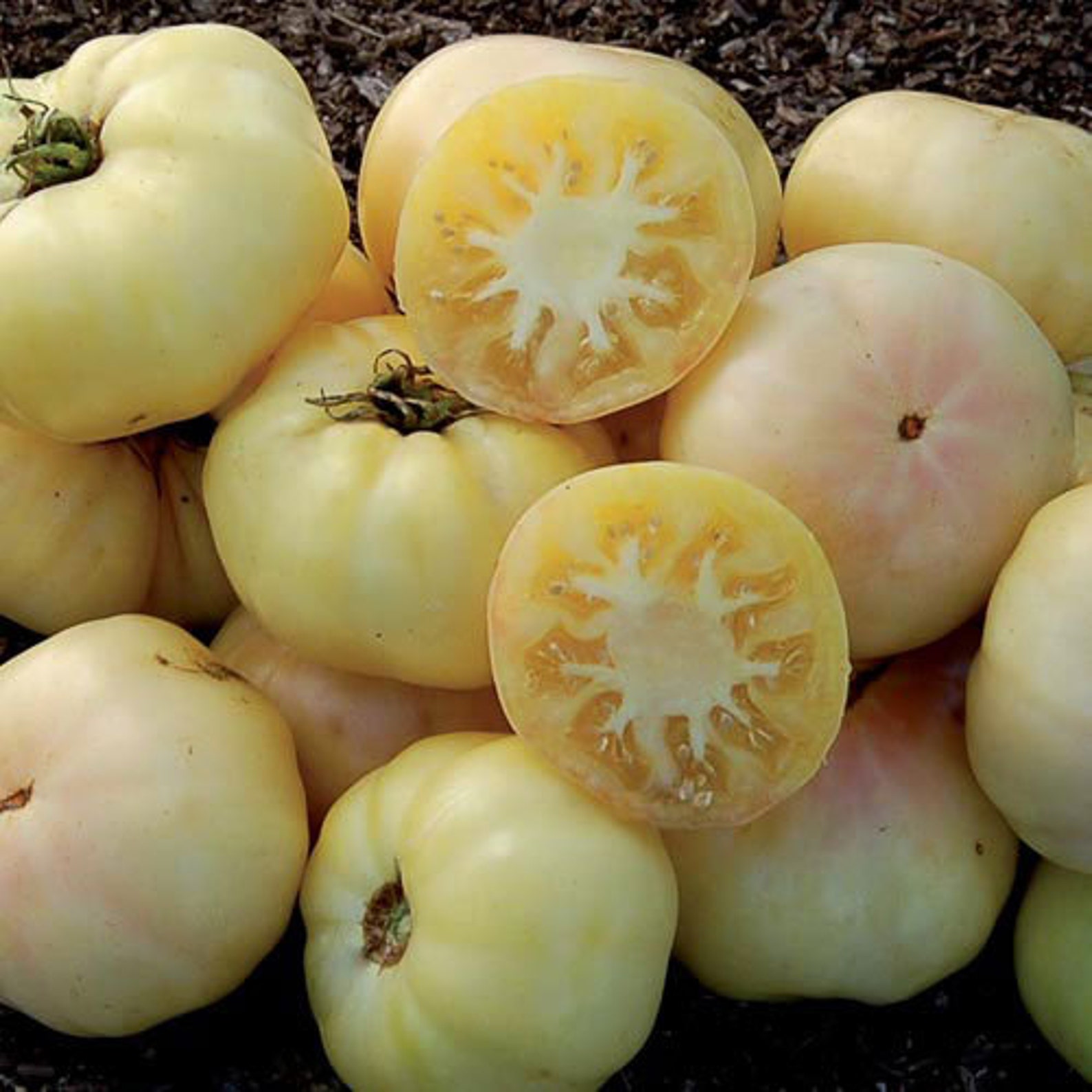 30 Organic WHITE BEAUTY Tomato Seeds Very Old Heirloom | Etsy