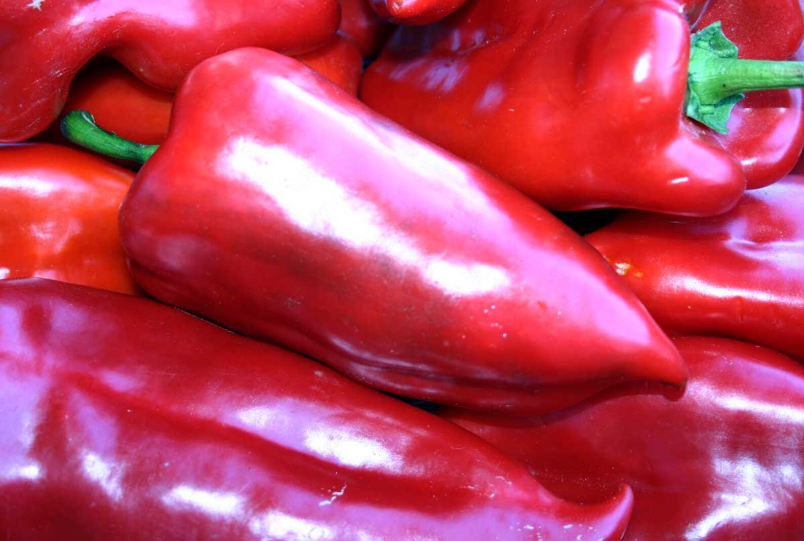 SALE 50 Organic KAPIA Sweet Hungarian Red pepper Seeds NonGMO | Etsy