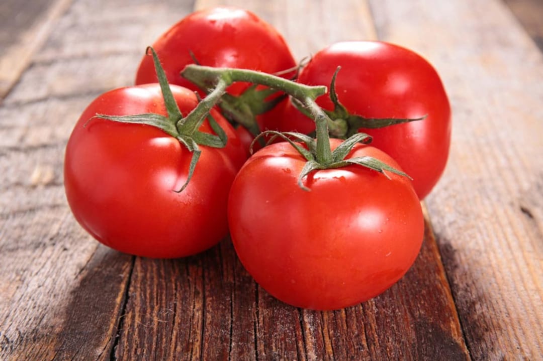 50 semillas de tomate Stupice Heirloom orgánicas - Alto rendimiento ...