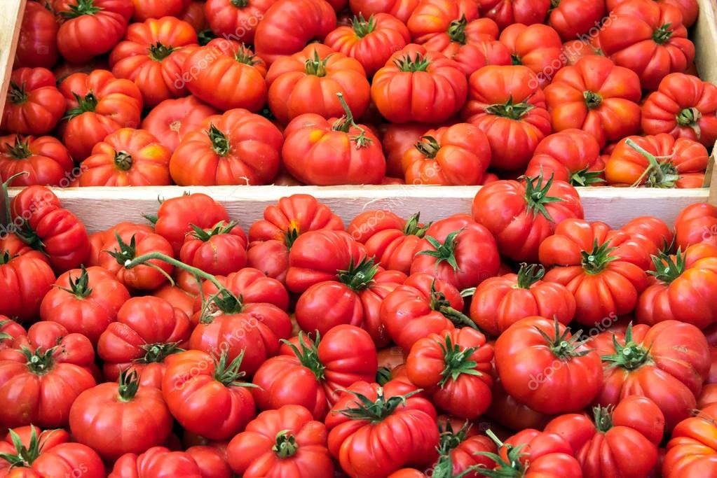 100 Organic ROSSO SICILIAN TOGETTA Heirloom Tomato Seeds Traditional ...