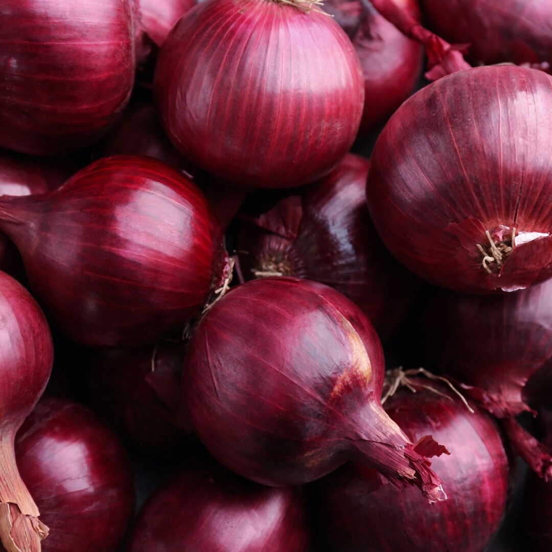 500 RED GRANO Famous Heirloom Red Onion Seeds Roter Zwiebel Samen ...