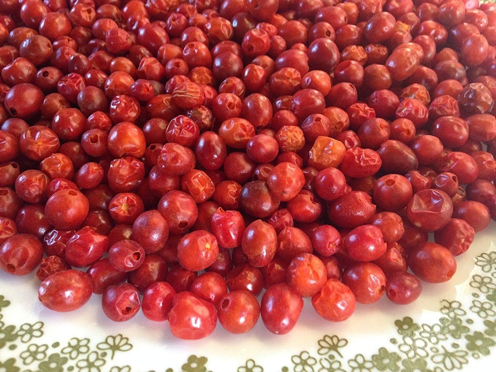 20 CHILTEPIN Wild Chili Seeds One of the Oldest Varieties ONLY | Etsy