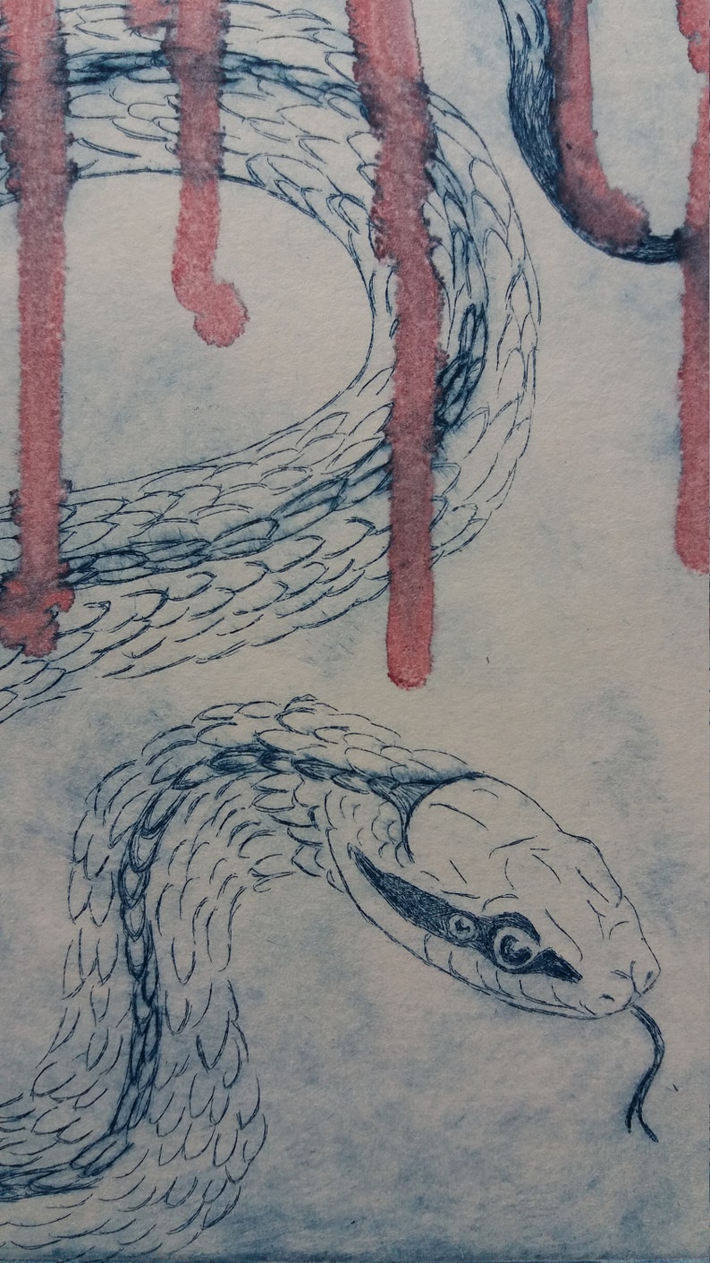Snake Copper Plate Etching One of a Kind Original Intaglio - Etsy