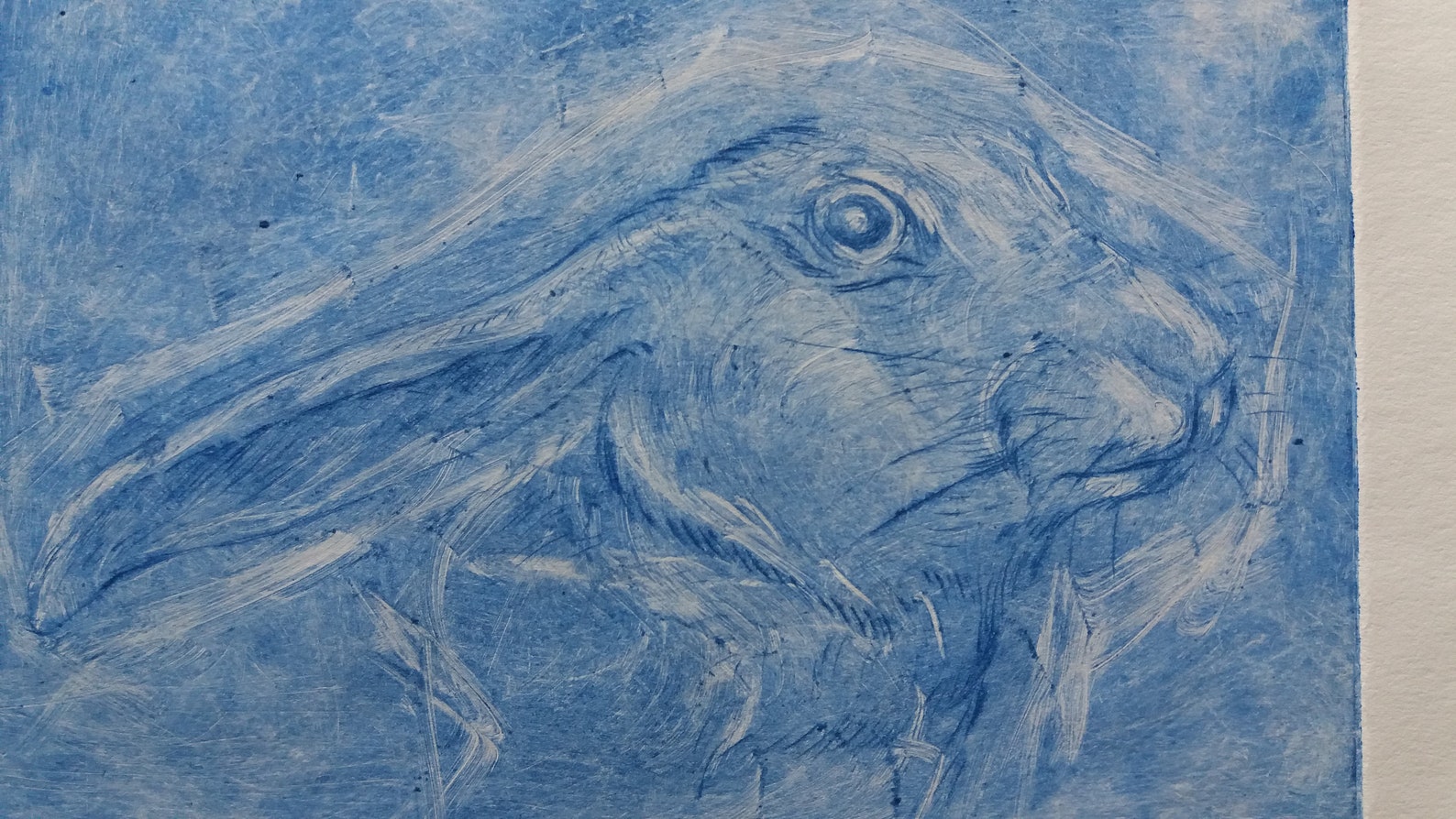 Blue Hare Copper Plate Drypoint One of a Kind Intaglio Print Acid ...