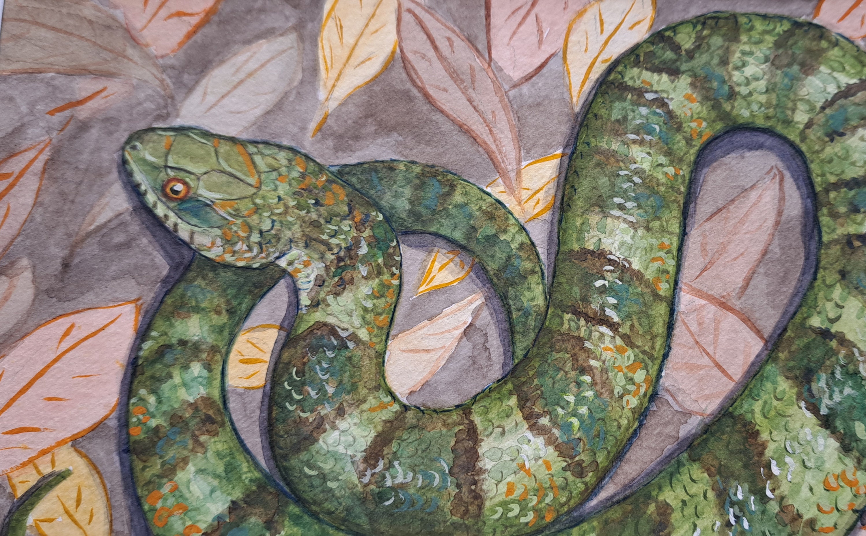Green Watersnake Original Painting Ink, Watercolor, Gouache, Matted ...