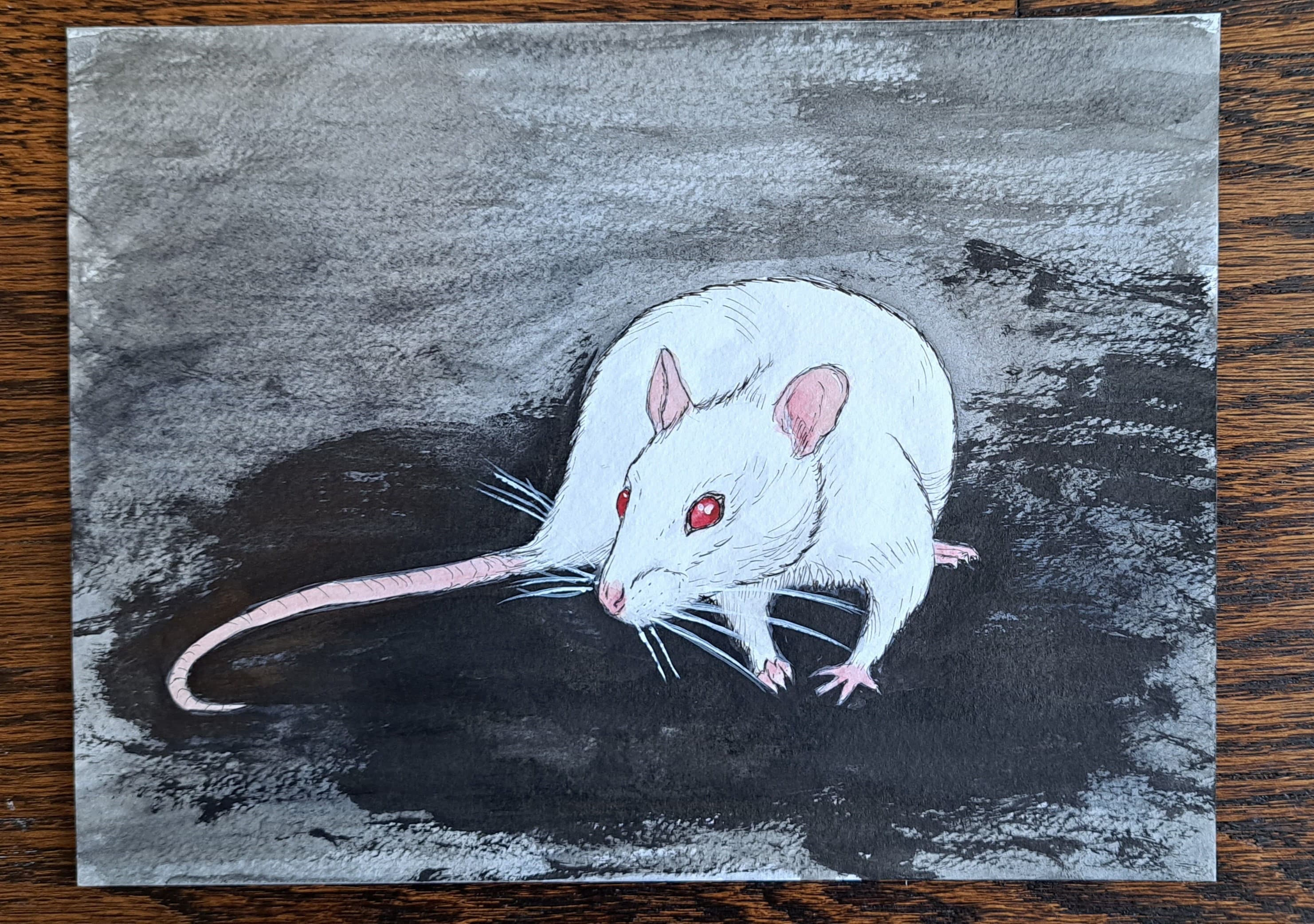 White Rat Original Ink & Watercolor Painting - Etsy
