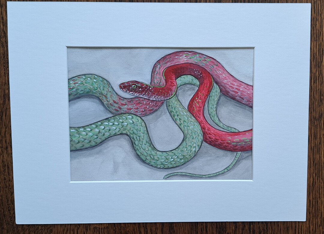 Red Green Snake Original Painting Gouache Matted Snake Complimentary ...