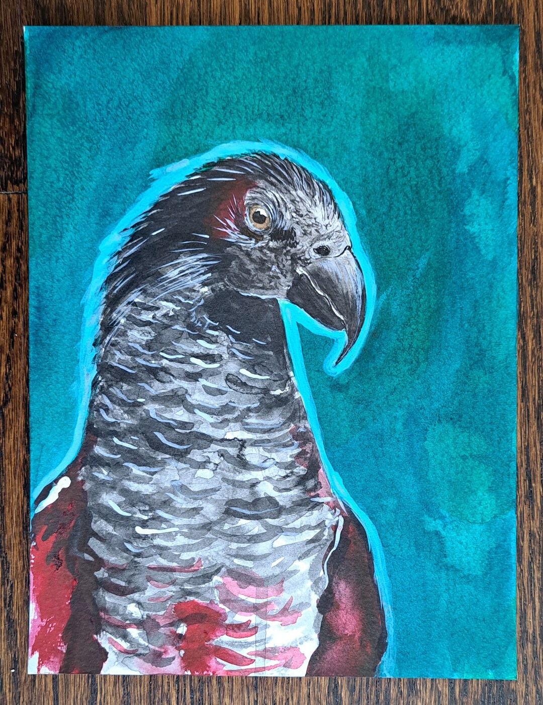 Pesquet's Parrot Aka Dracula Parrot Original Ink Painting Vampire Bird ...