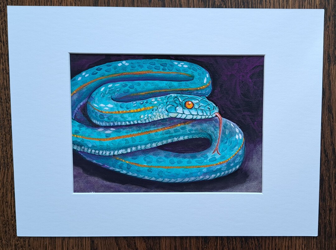 Teal Orange Snake Original Painting Gouache Ink Matted - Etsy