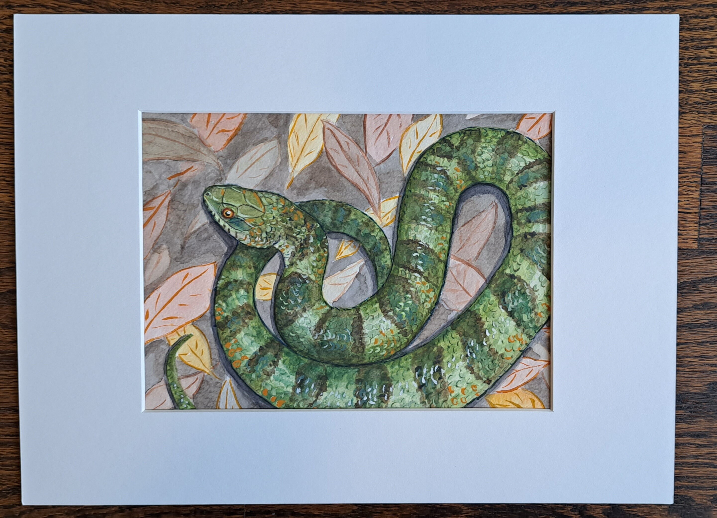 Green Watersnake Original Painting Ink, Watercolor, Gouache, Matted ...