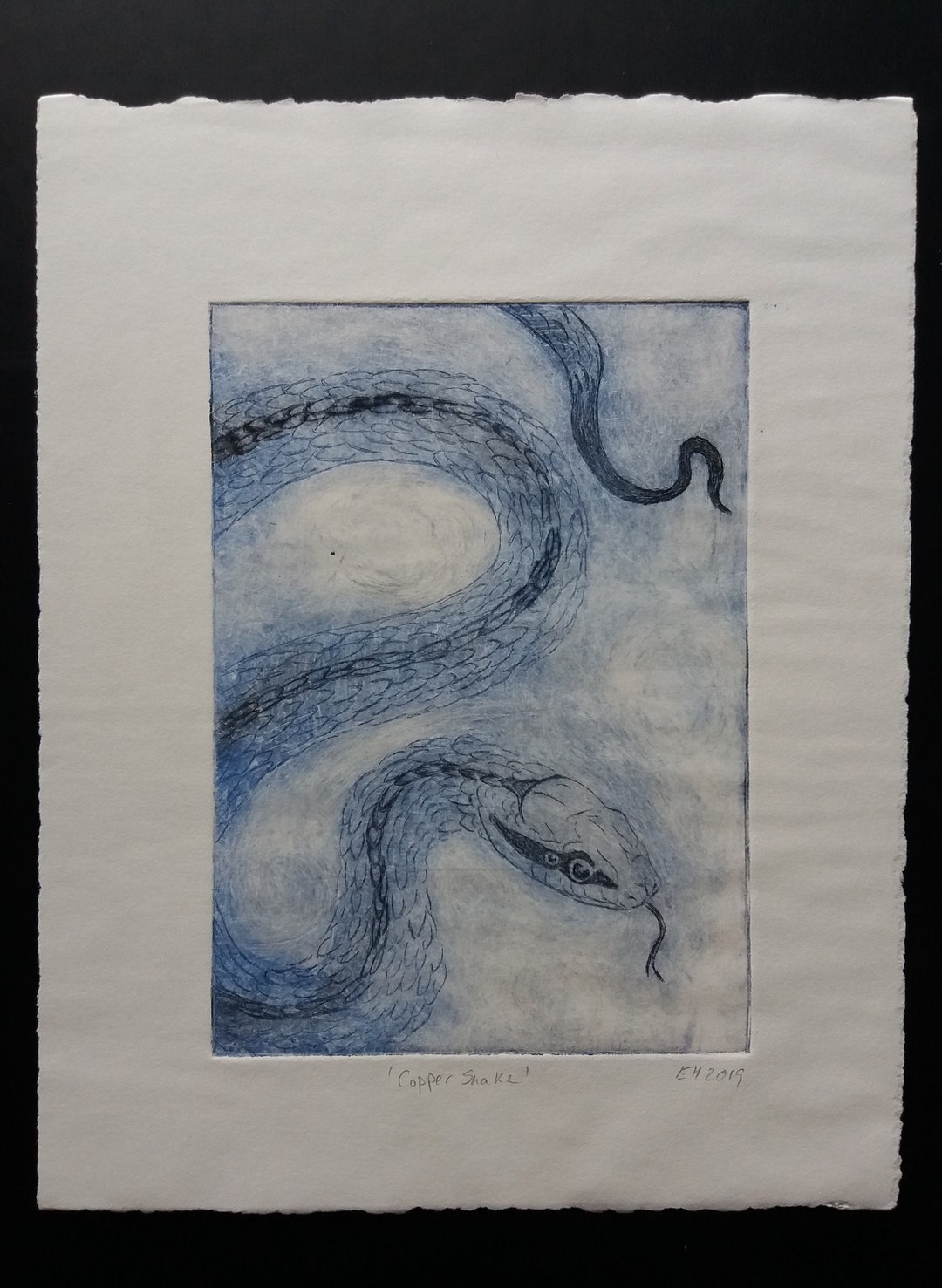 Blue Snake Copper Plate Etching One of a Kind Intaglio Print Acid Etch ...
