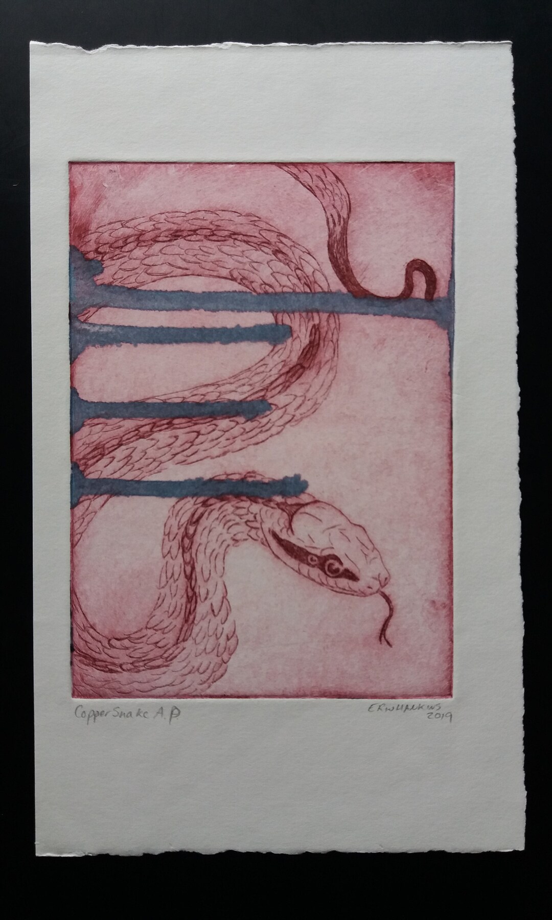 Snake Copper Plate Etching One of a Kind Original Intaglio Print Acid ...