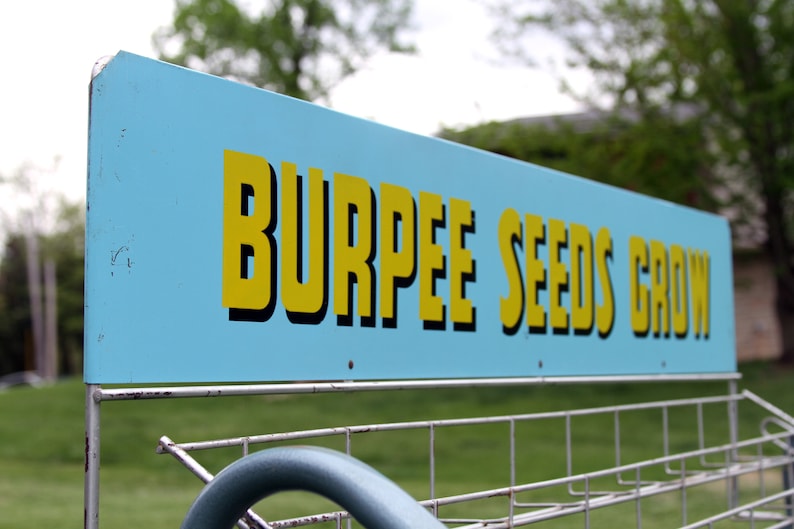 Vintage Burpee Seeds Industrial Store Display Rack/cart 5ft - Etsy