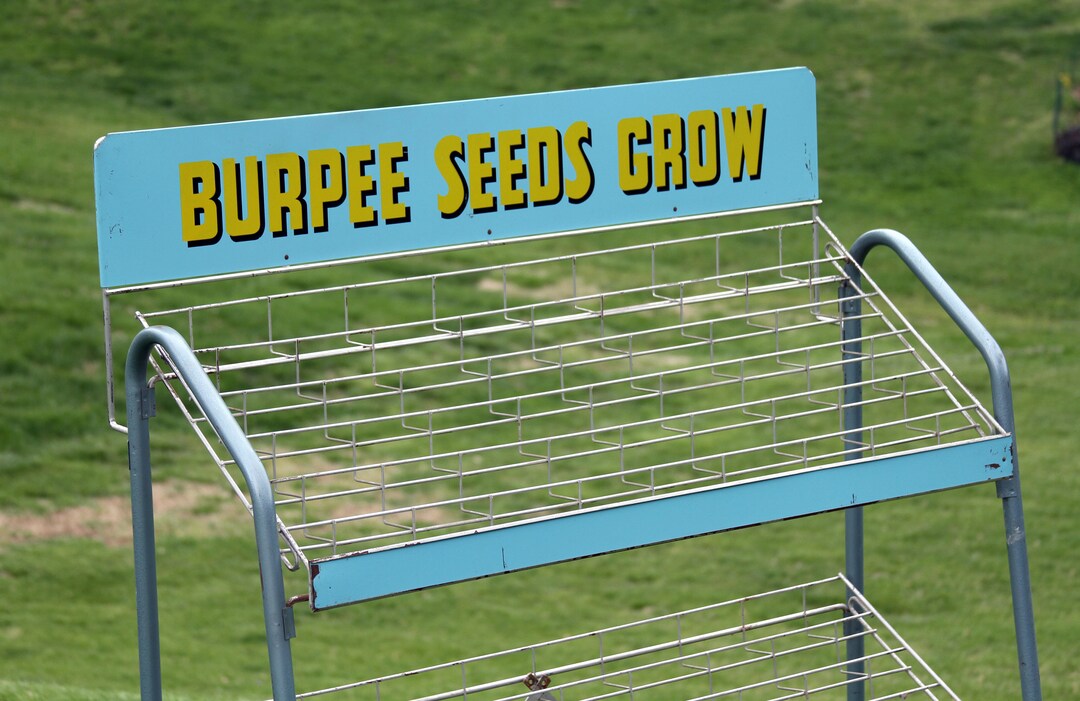 Vintage Burpee Seeds Industrial Store Display Rack/cart 5ft - Etsy