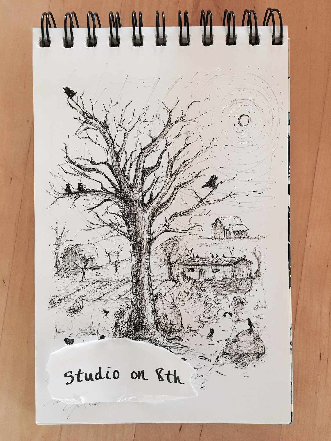 Too Many Birds Digital Illustration - Etsy