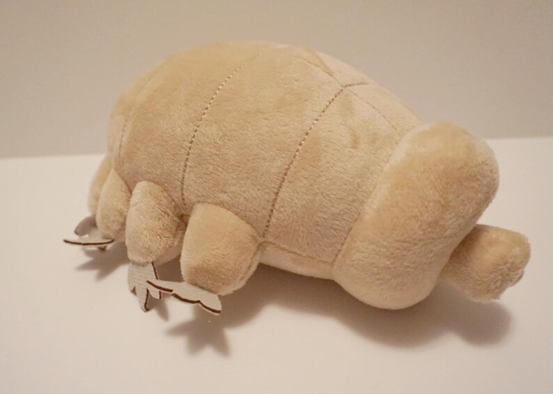 Tardigrade Bug Survivor Rare Weird Cute Collectible Plush Plushie Toy ...