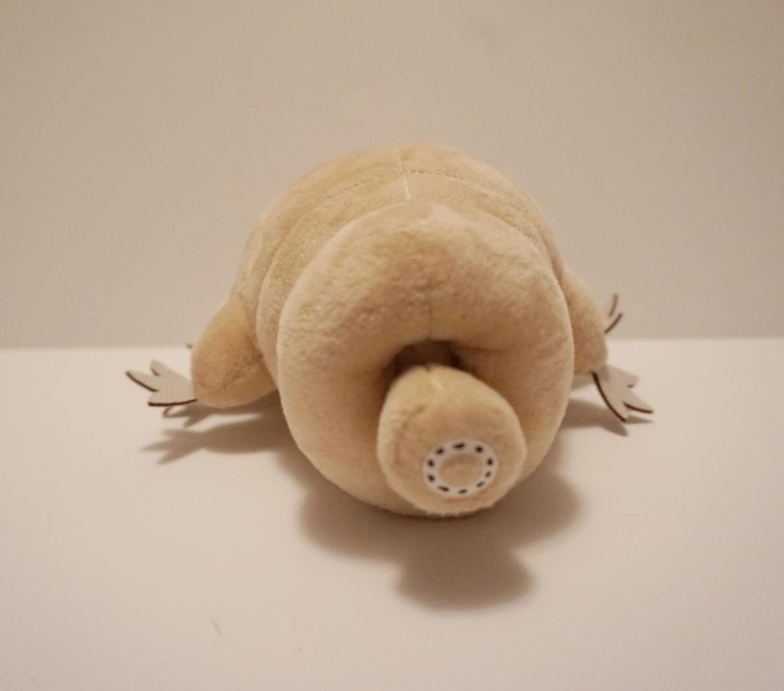 Tardigrade Bug Survivor Rare Weird Cute Collectible Plush Plushie Toy ...