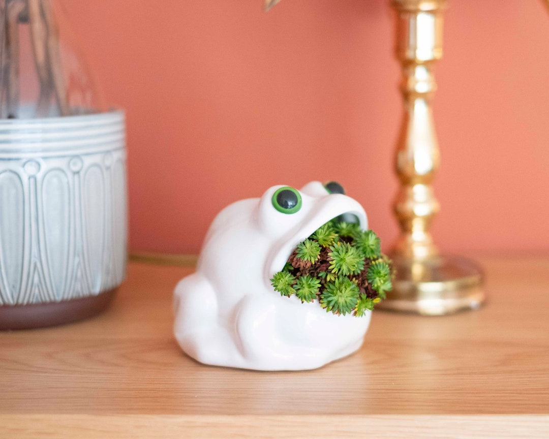 Vintage Frog Flower Pot // White Ceramic Animal // Toad Frog Mouth ...
