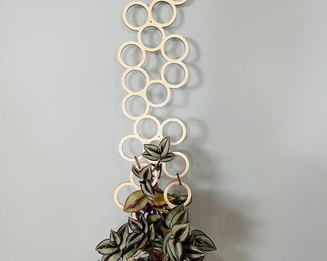 Plant Trellis Extension, Wood Plant Trellis, Indoor Plant Trellis ...