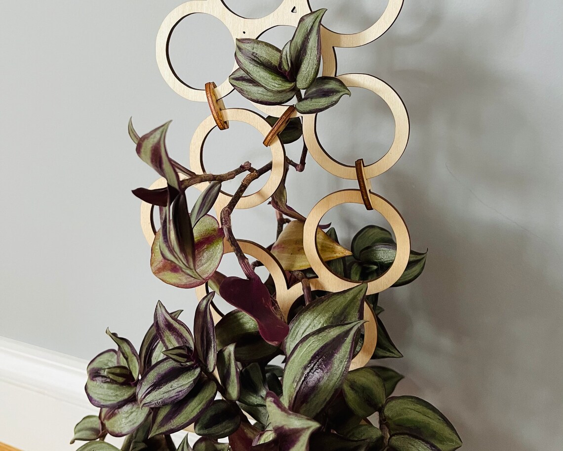 Plant Trellis Extension Wood Plant Trellis Indoor Plant - Etsy