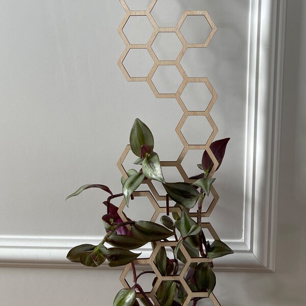 Laser Cut Plant Trellis - Etsy