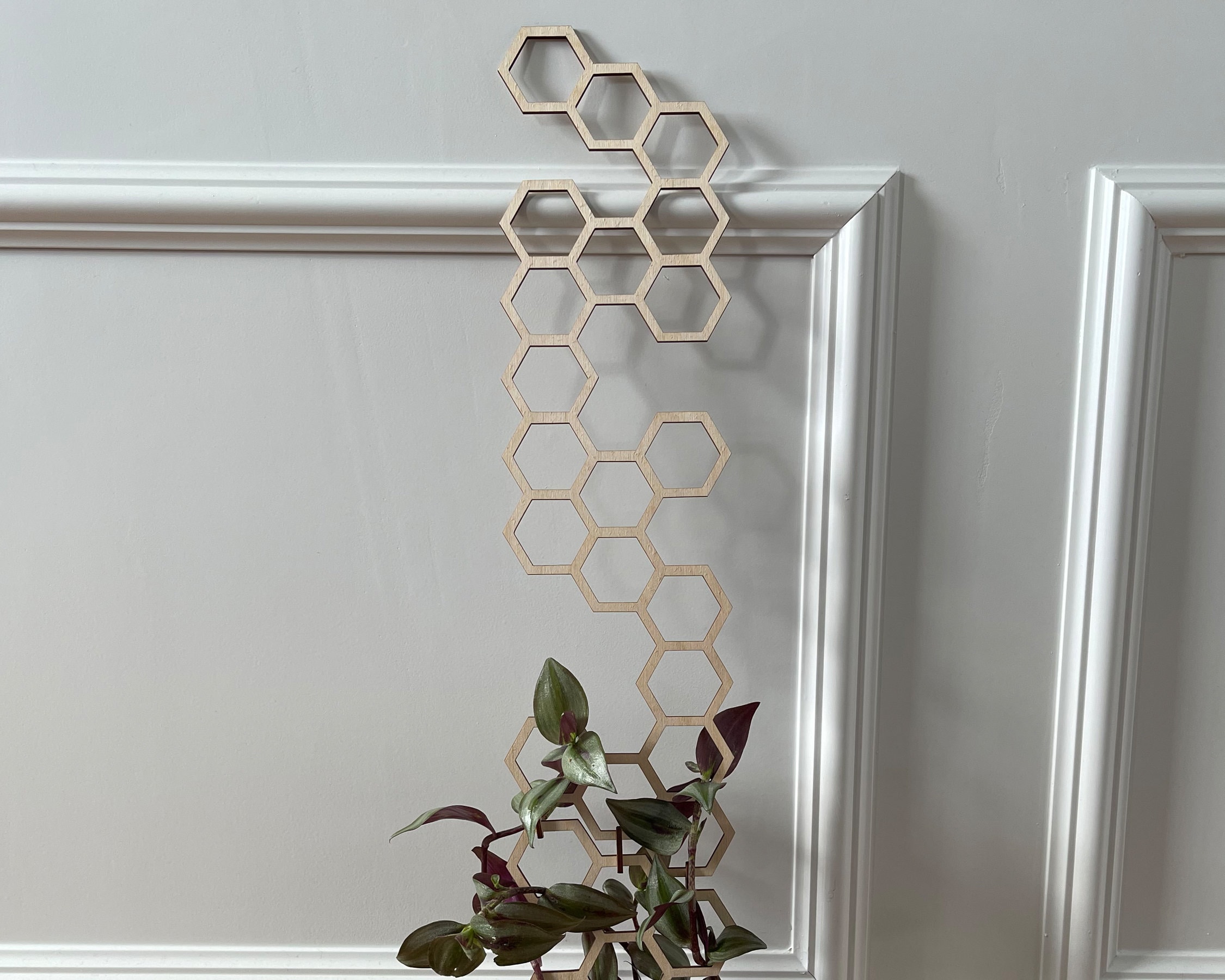 Extra Tall Hexagon Plant Trellis SVG DXF PDF: Laser Cut File - Etsy