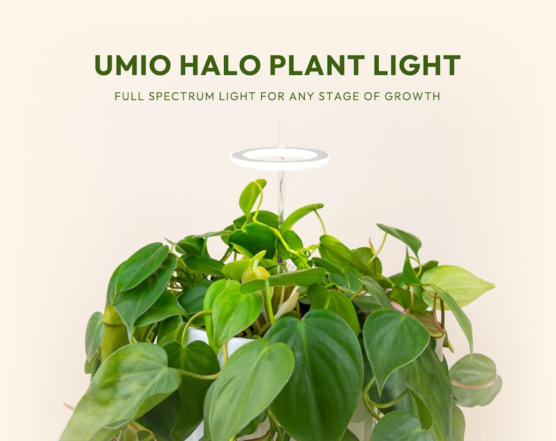UMIO Angel Ring LED Plant Grow Lights Full Spectrum USB Halo Light ...