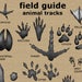 11" X 17" Animal Tracks Field Guide Poster - Etsy