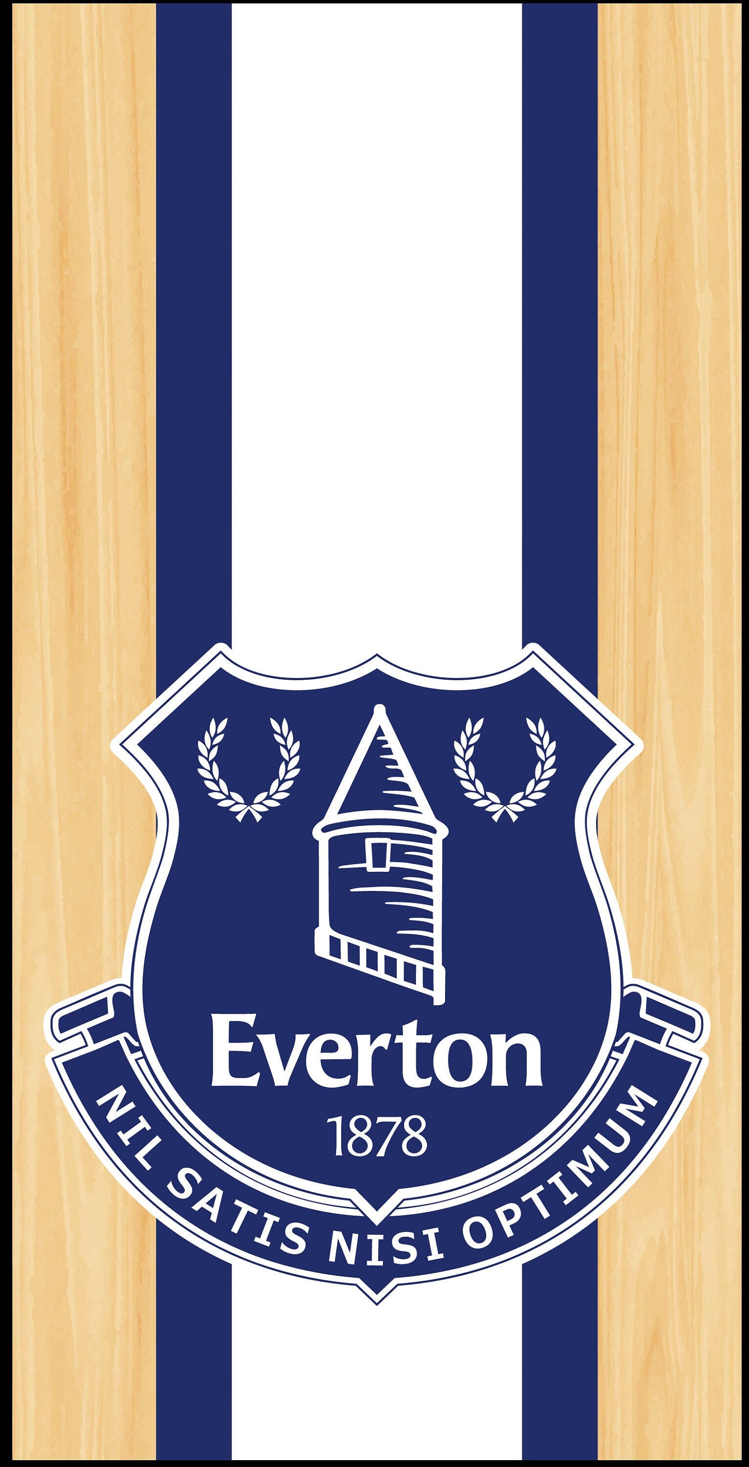 Calcomanías de vinilo Everton FC Gráficos de placa completa | Etsy España