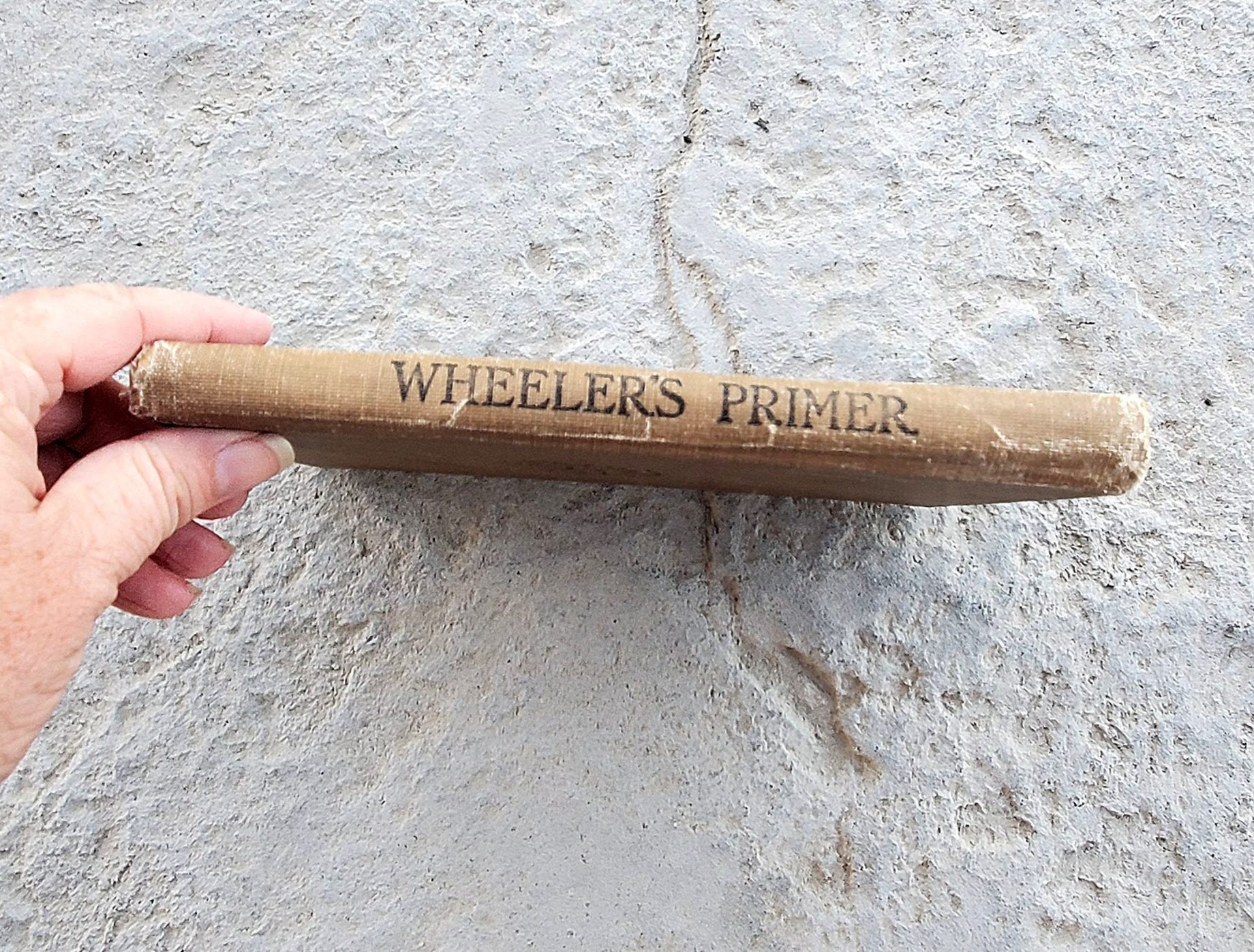 Vintage Wheeler's Graded Readers: A Primer Illustrated Series 1900 ...