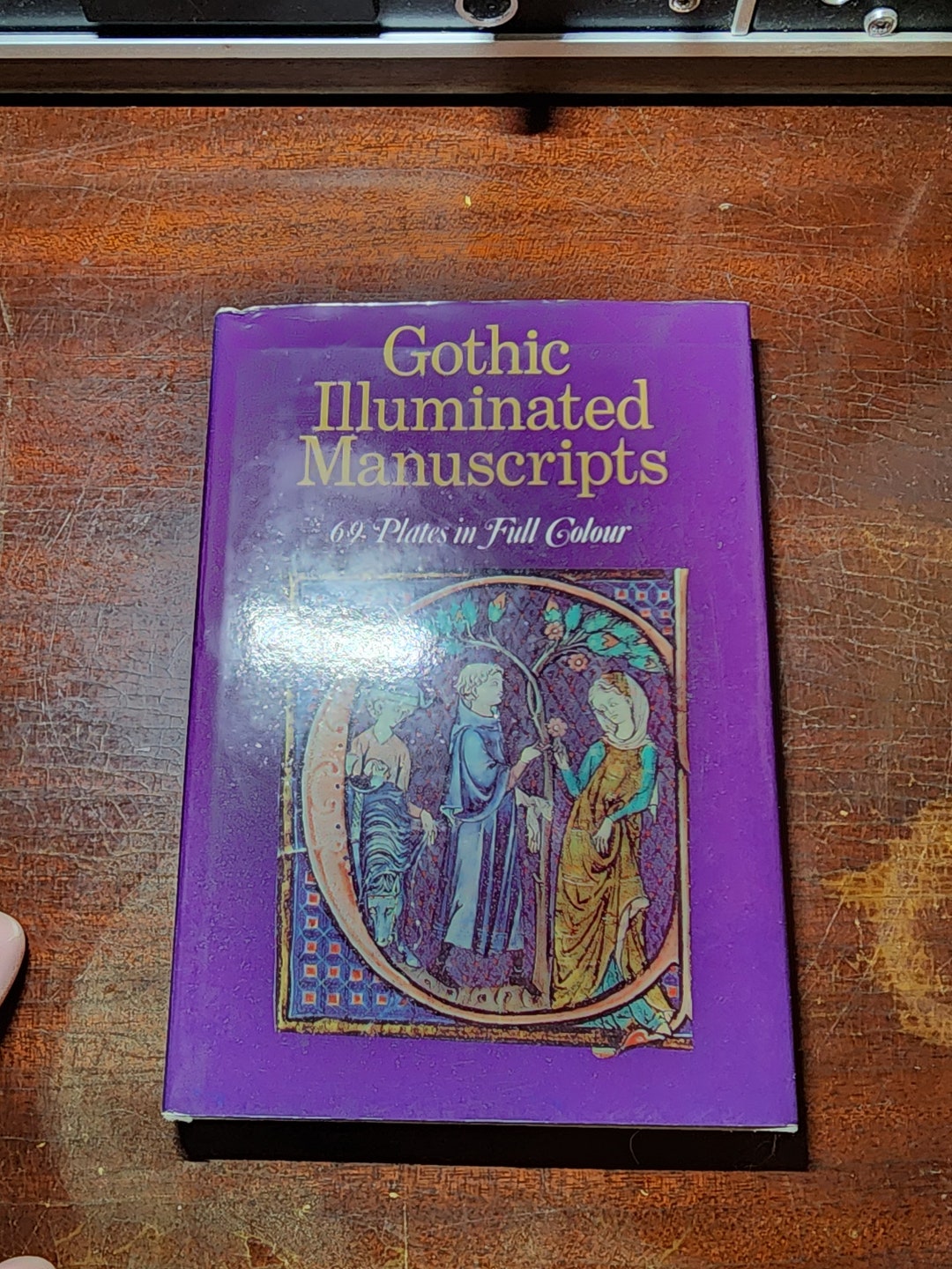 Gothic Illuminated Manuscripts 69 Plates in Full Color 1970 - Etsy