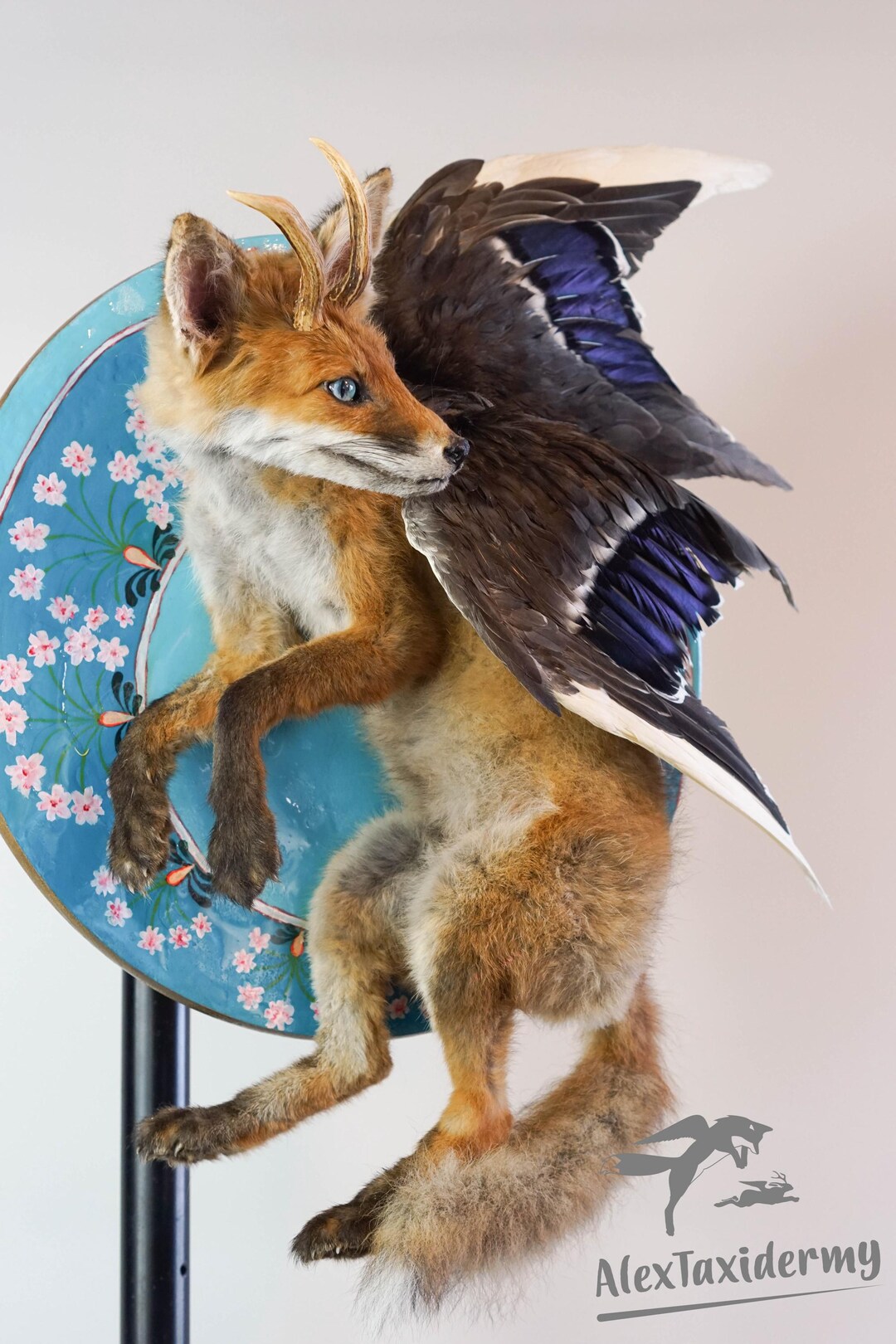 Flying Fox Cub With Wings. Oryginal Animal Art Mounts Curiosities Gift ...