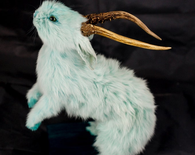 Celadon Jackalope. Taxidermy Real Rabbit. Oryginal Bunny Real Art ...