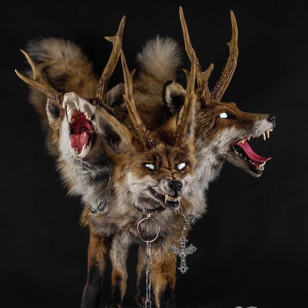 Animal Mount - Etsy UK