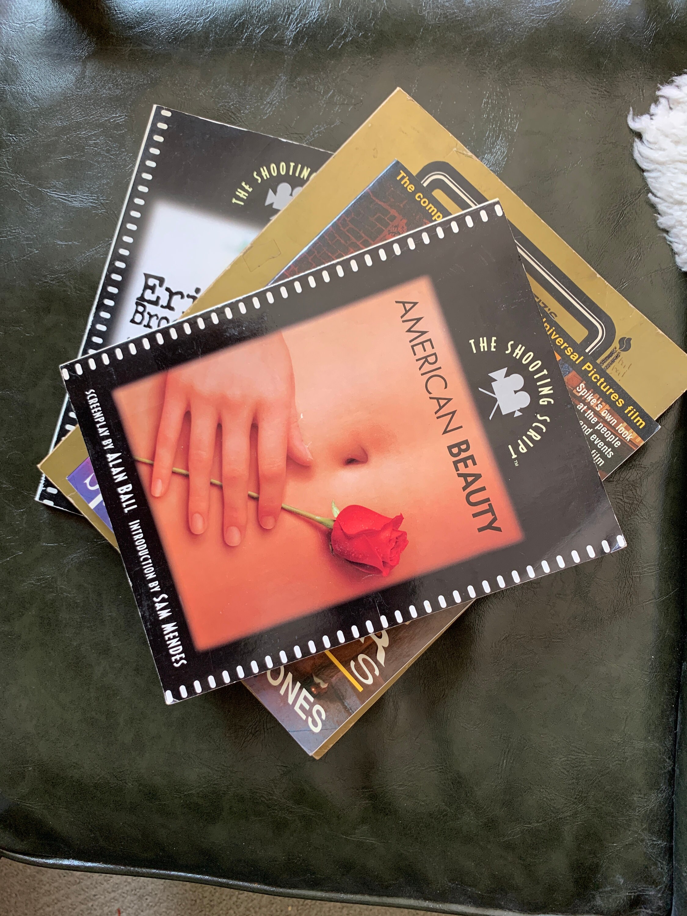 The Shooting Script™ AMERICAN BEAUTY Screenplay by Alan Ball - Etsy