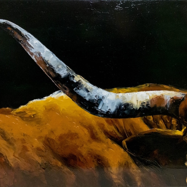 Longhorn Cattle - Etsy
