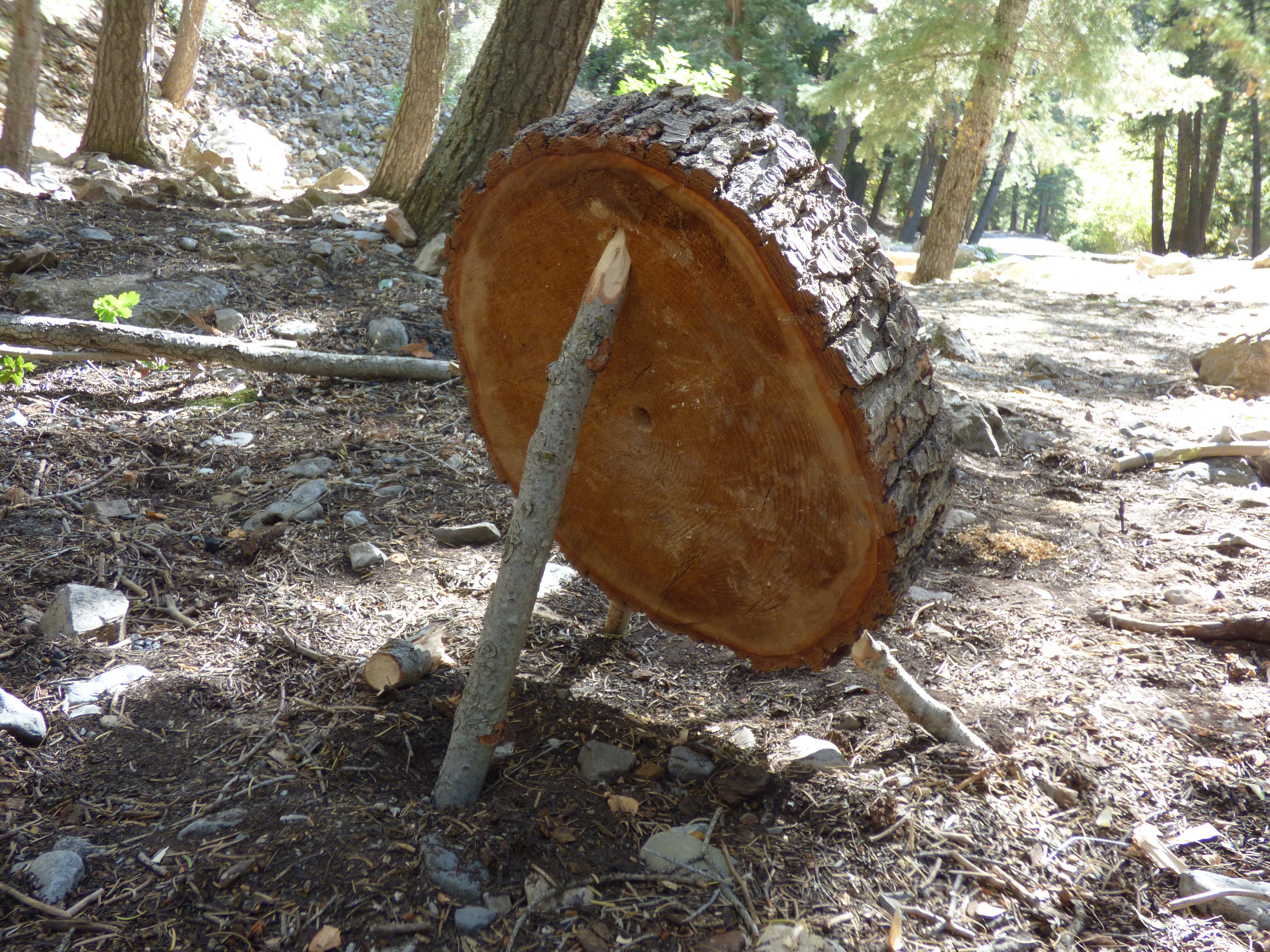 1 Inch Scotch Eye Auger Bushcraft Tools Survival Scotch - Etsy