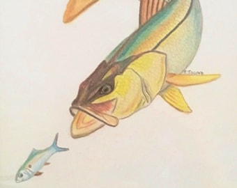 Snook drawing | Etsy