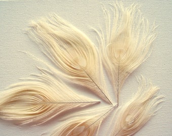 Cream feathers | Etsy