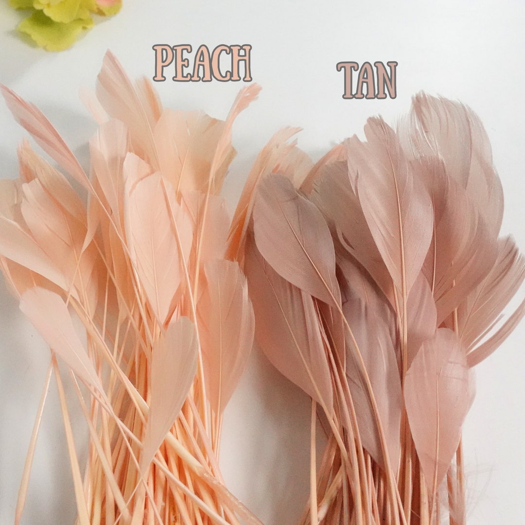 50 Peach Tan Stripped Feathers for Crafts and Millinery - Etsy
