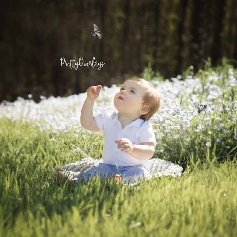 PrettyOverlays - Etsy