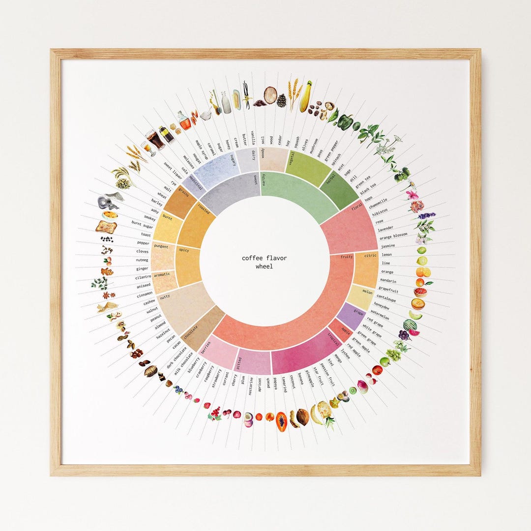 Coffee Flavor Wheel Art Print: Kitchen Watercolor Painting - Etsy